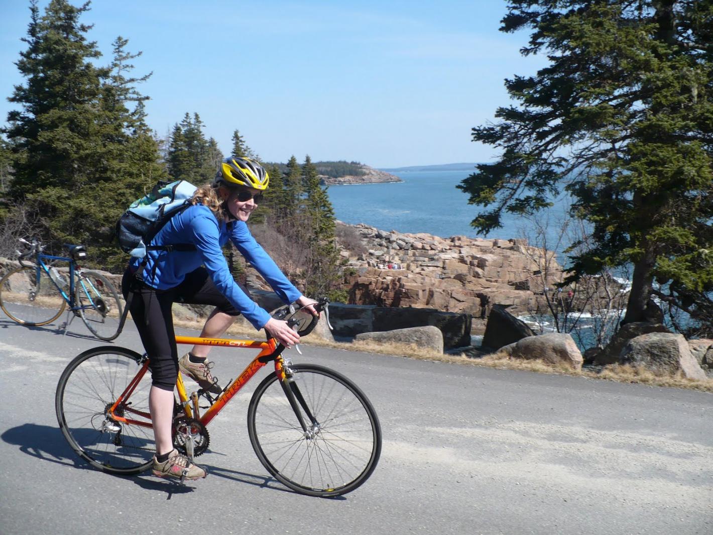 What's Wrong With Telling Cyclists to Ride on the Bike Path ...