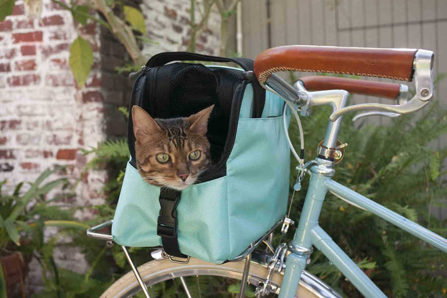 Naysayers: You Can't Do THAT On A Bike! — Streetsblog USA