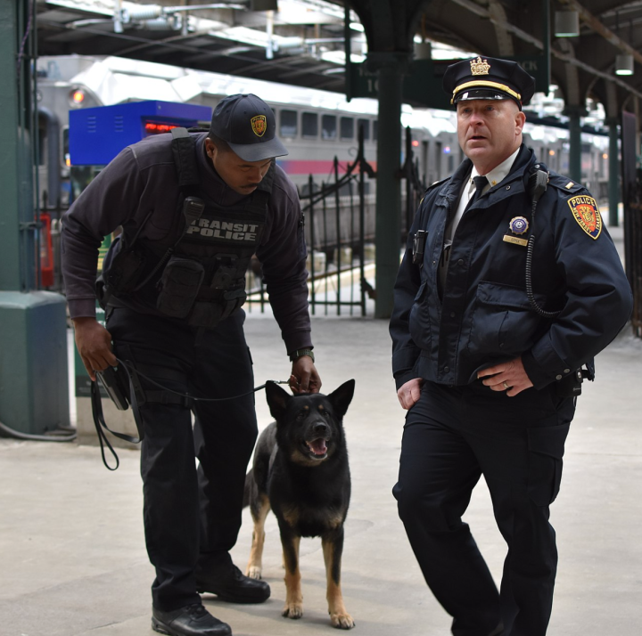 Report: To Make Transit Safe, Rethink Transit Cops — Streetsblog USA
