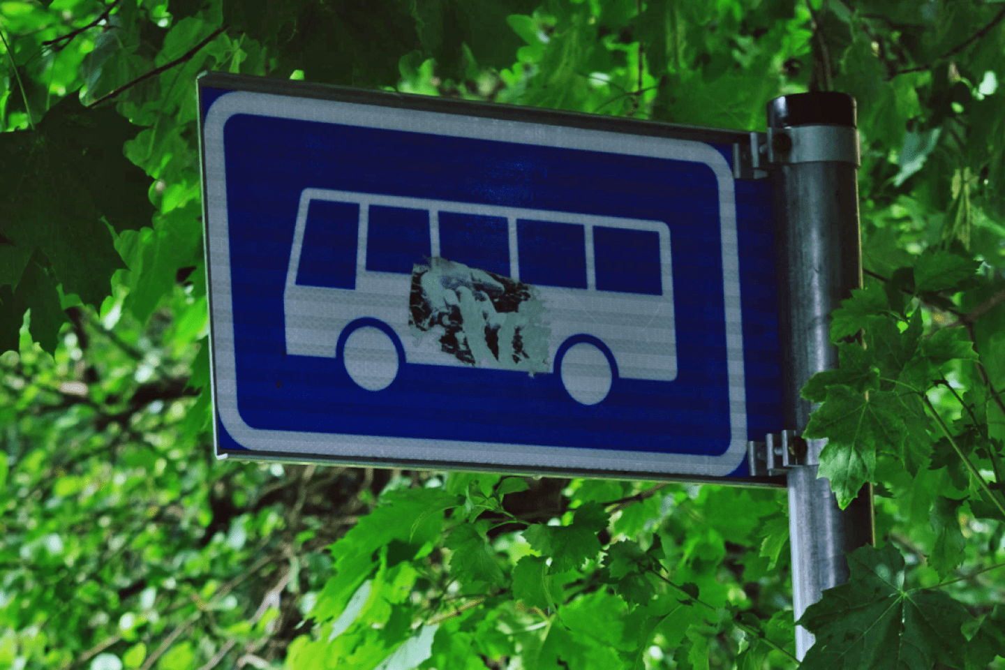 From Minneapolis, Evidence That the Census Undercounts Walking and ...