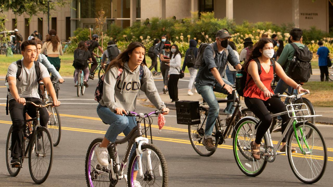 Bike-Friendly Campuses Can Inspire the Rest of Car-Centric America ...